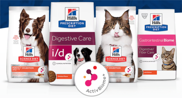Global Pet Cat Population Surpasses 370 Million – In-Depth National ...