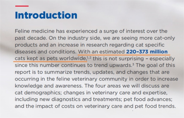 Global Pet Cat Population Surpasses 370 Million – In-Depth National ...