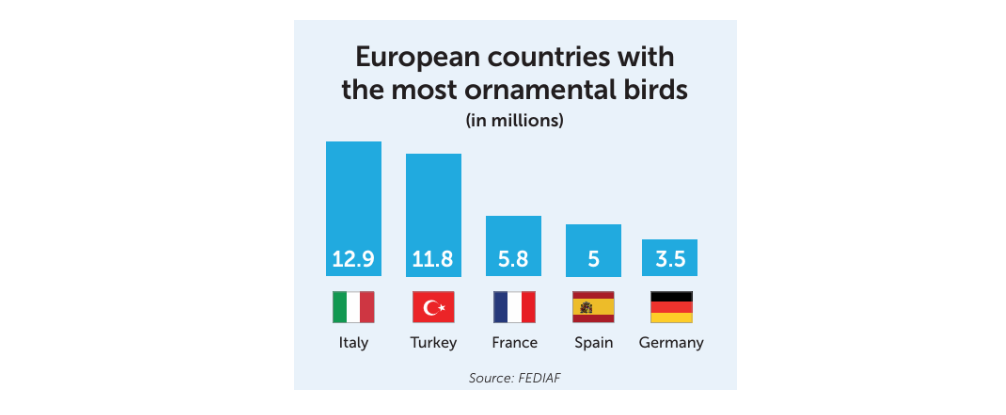 Birds and Hamsters: Small Pets, Big Opportunities in the European Pet ...